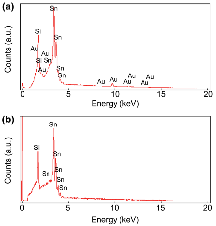 Epitaxial Growth of Multi-structure SnO2 by Chemical Vapor Deposition