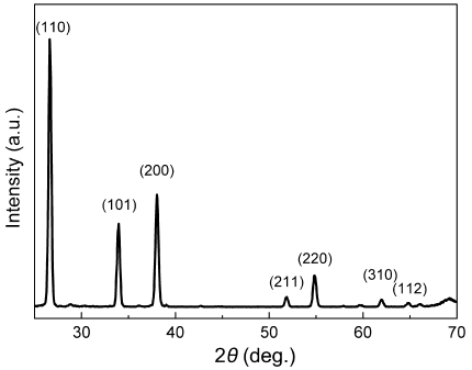Epitaxial Growth of Multi-structure SnO2 by Chemical Vapor Deposition
