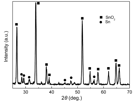 Epitaxial Growth of Multi-structure SnO2 by Chemical Vapor Deposition