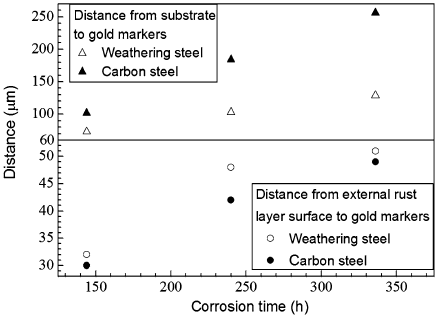 Evolution of the Rust Layers Formed on Carbon and Weathering Steels in ...