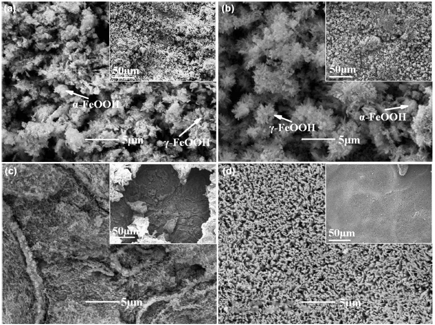 Evolution of the Rust Layers Formed on Carbon and Weathering Steels in ...
