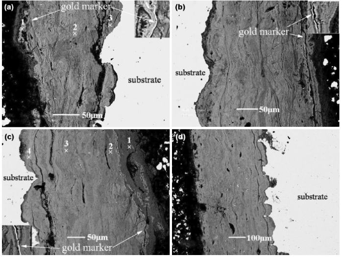 Evolution of the Rust Layers Formed on Carbon and Weathering Steels in ...