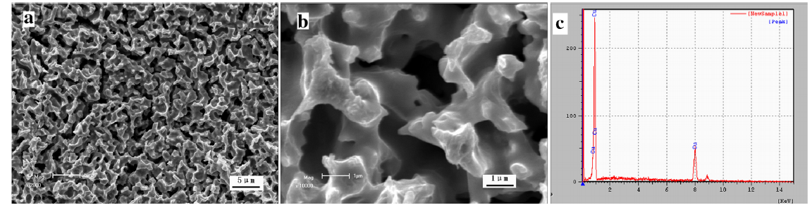 Study on Micron Porous Copper Prepared by Physical Vacuum Dealloying