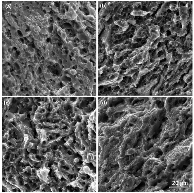 Microstructure and Properties of 7075Al Alloy Fabricated by Directly ...