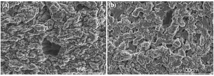 Corrosion Behavior of Fe-Al Coatings Fabricated by Pack Aluminizing Method