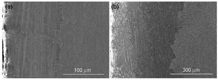 Corrosion Behavior of Fe-Al Coatings Fabricated by Pack Aluminizing Method