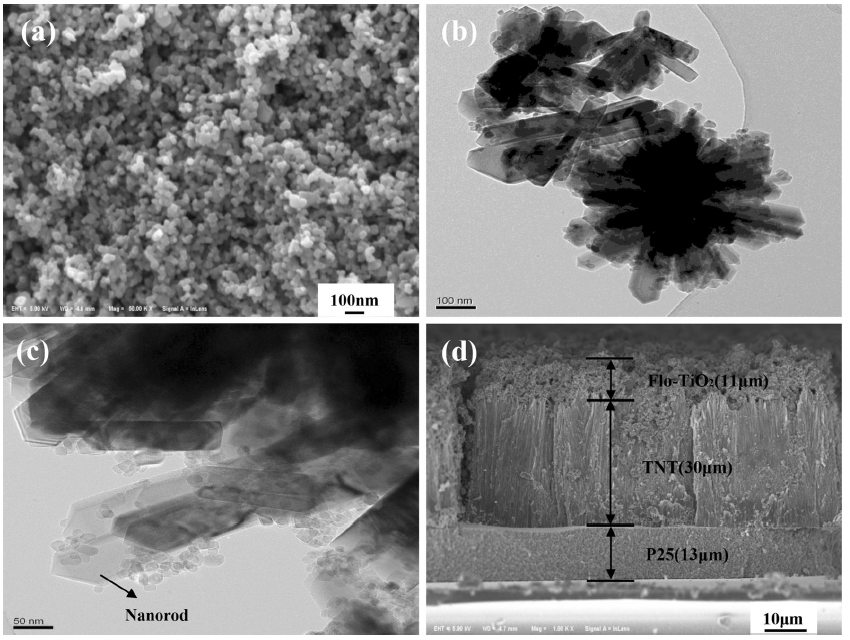 A Composite Photoanode Based on P25/TiO2 Nanotube Arrays/Flower-Like ...