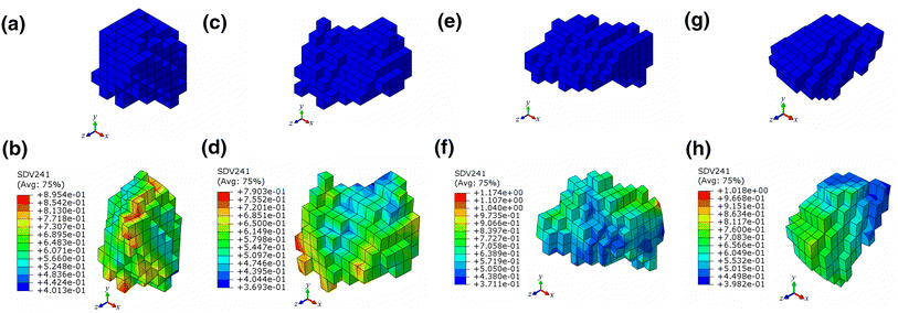 3D Crystal Plasticity Finite Element Modeling of the Tensile ...