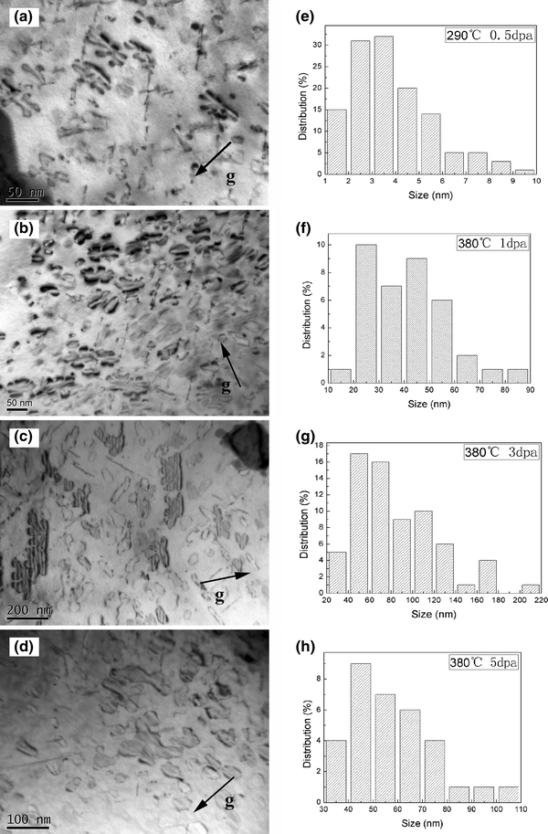 Evolution of Dislocation Loops in AL-6XN Stainless Steels Irradiated by ...