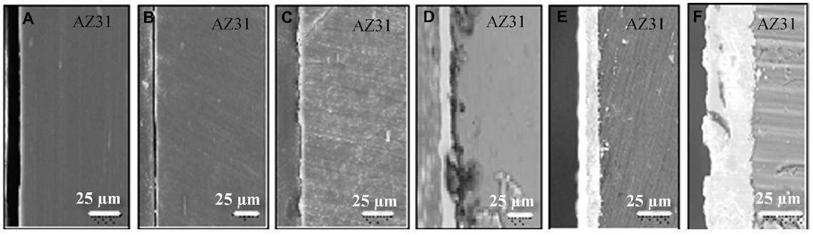 Corrosion Behavior of AZ31 Magnesium Alloy in Highly Alkaline Environment