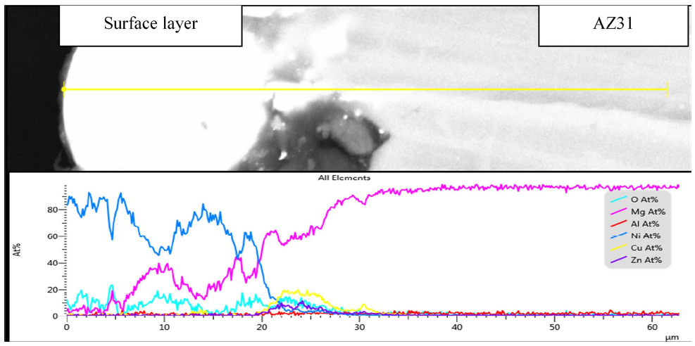Corrosion Behavior of AZ31 Magnesium Alloy in Highly Alkaline Environment