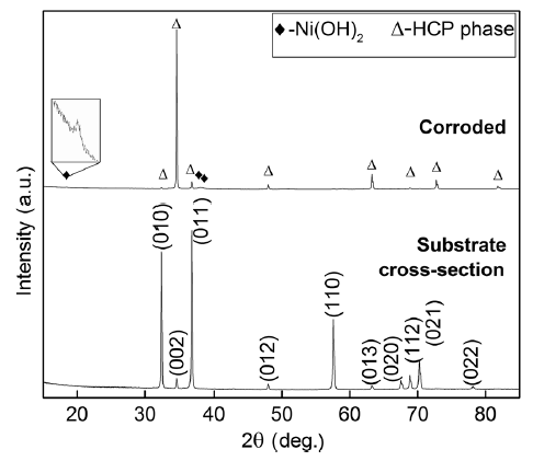 Corrosion Behavior of AZ31 Magnesium Alloy in Highly Alkaline Environment