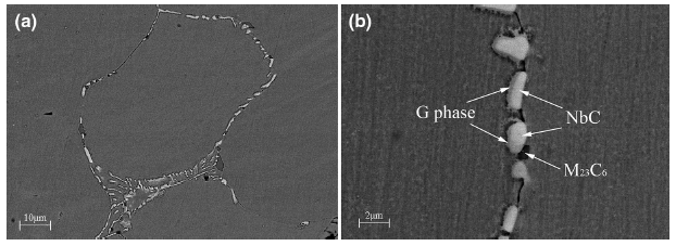 Formation of G-phase in 20Cr32Ni1Nb Stainless Steel and its Effect on ...