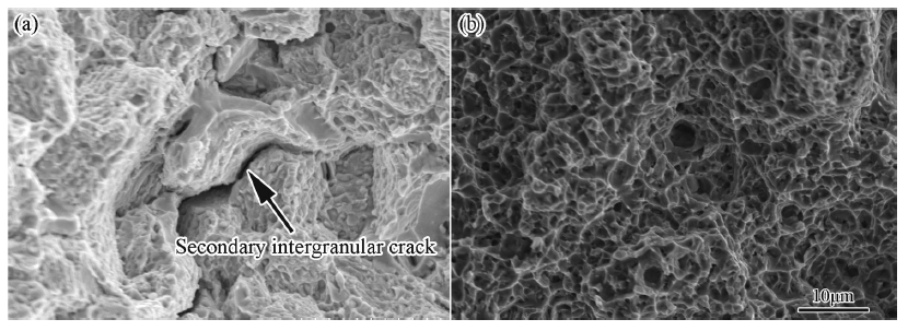 Effect of Heat Treatment on the Microstructure and Mechanical ...