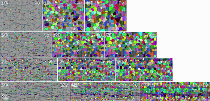 A Multi-phase Field Model for Static Recrystallization of Hot Deformed Austenite in a C-Mn Steel