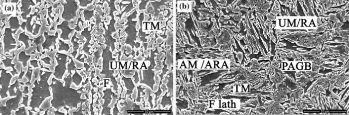 Effect of Heat Treatment on Microstructure and Mechanical Properties of ...