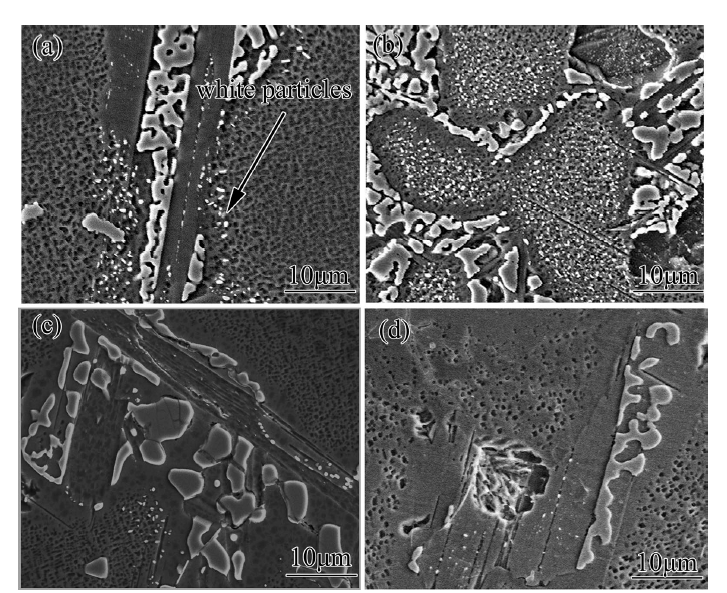 Element Segregation and Solidification Behavior of a Nb, Ti, Al Co ...