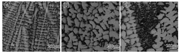 Element Segregation and Solidification Behavior of a Nb, Ti, Al Co ...