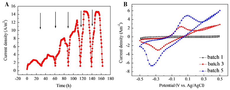 Hydrogen Production Using “Direct-Starting” Biocathode Microbial ...