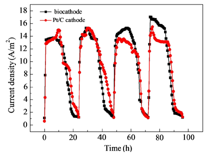 Hydrogen Production Using “Direct-Starting” Biocathode Microbial ...