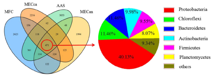 Hydrogen Production Using “Direct-Starting” Biocathode Microbial ...