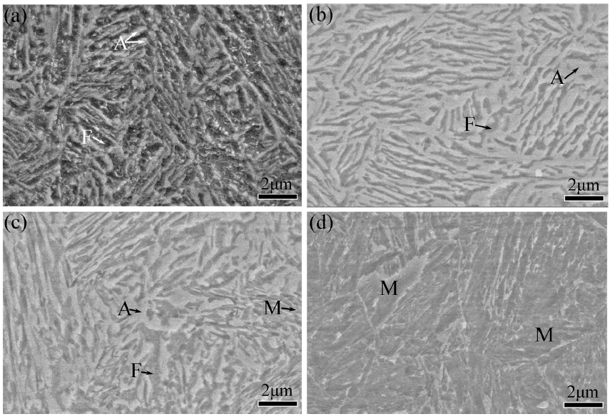 Effect of V-Ti Addition on Microstructure Evolution and Mechanical Properties of Hot-Rolled ...