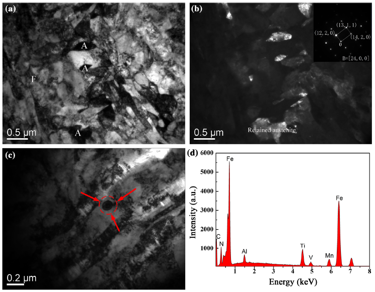 Effect of V-Ti Addition on Microstructure Evolution and Mechanical Properties of Hot-Rolled ...