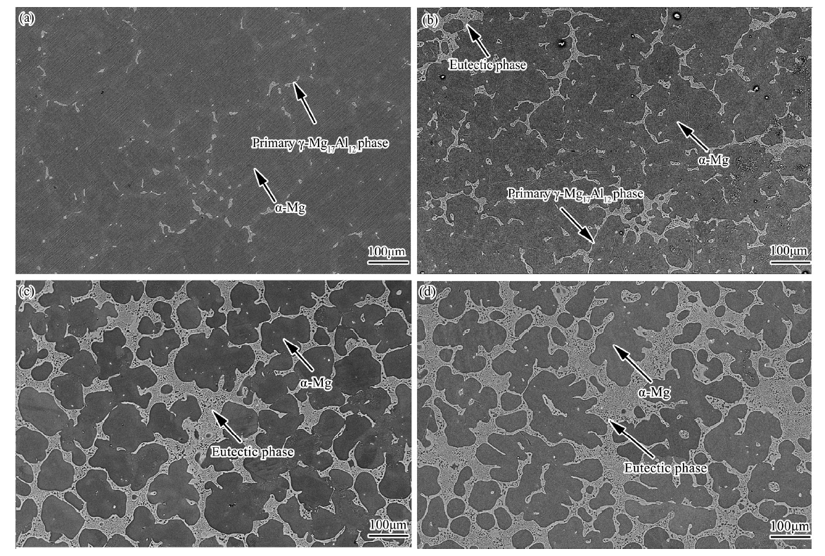 Effect of Al on Expansion Behavior of Mg-Al Alloys During Solidification