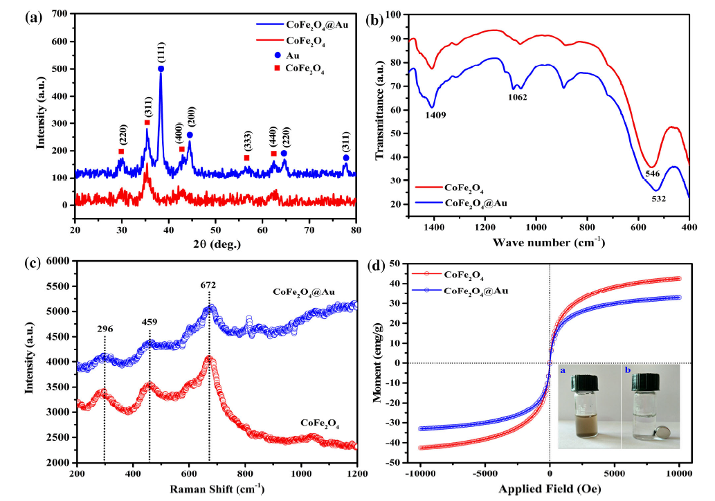 Superparamagnetic CoFe2O4@Au with High Specific Absorption Rate and ...