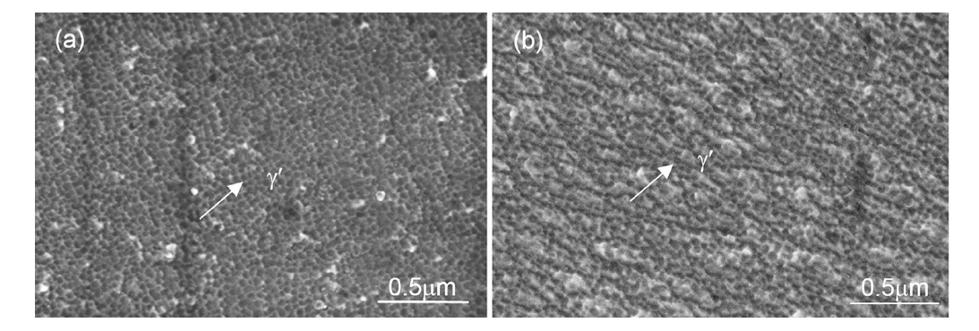 Microstructural Feature and Evolution of Rapidly Solidified Ni3Al-Based ...
