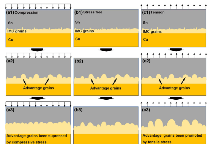 Influence of External Interface Normal Stress on the Growth of Cu-Sn ...