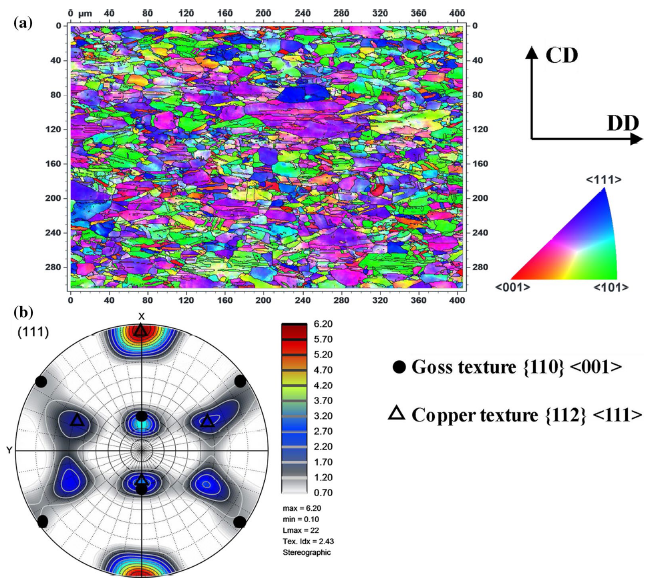Evolution of Annealing Twins and Recrystallization Texture in Thin ...