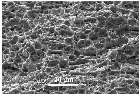 Void Formation and Plastic Deformation Mechanism of a Cold-Rolled Dual ...