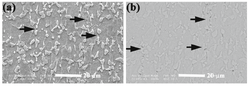 Void Formation and Plastic Deformation Mechanism of a Cold-Rolled Dual ...
