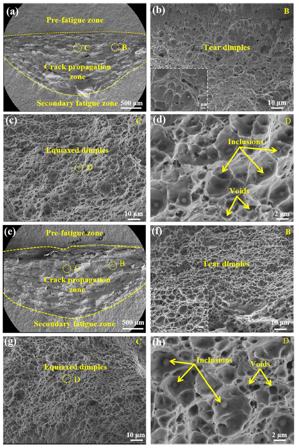 Effect of Trace Element on Microstructure and Fracture Toughness of ...