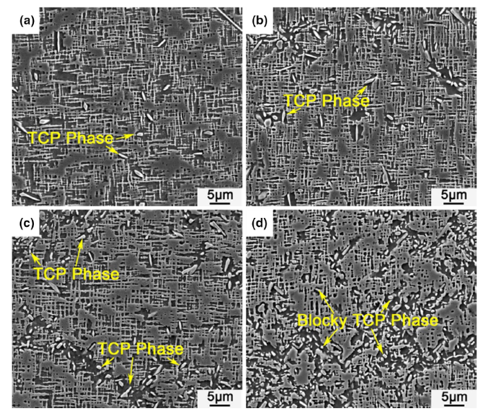 Evolution of TCP Phase During Long Term Thermal Exposure in Several Re ...