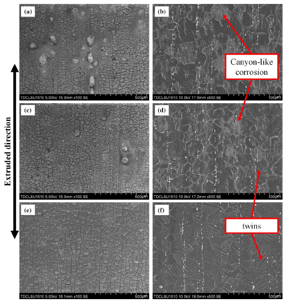 Influence of Twinning Texture on the Corrosion Fatigue Behavior of ...