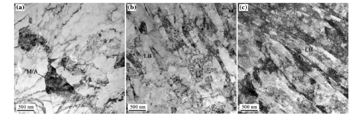 Microstructures and Mechanical Properties of a New Multi-functional 460 ...