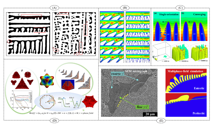 Development of Phase-Field Modeling in Materials Science in China: A Review