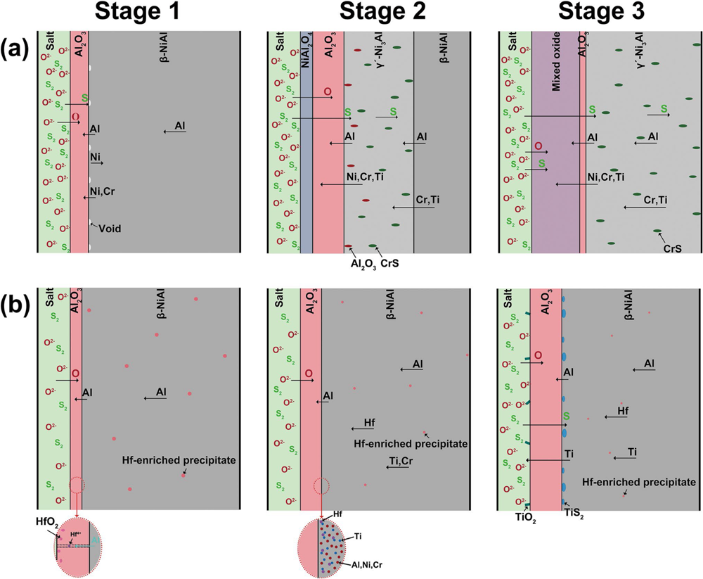 Fig. 12 Schematic diagram showing the hot corrosion process of the two ...